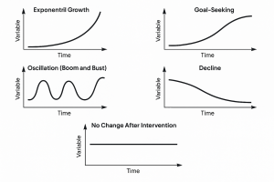 Understanding Behavior Over Time Graphs | A Systems Thinking Tool