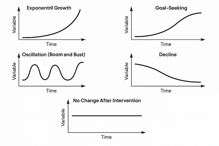 Understanding Behavior Over Time Graphs | A Systems Thinking Tool